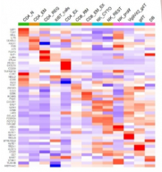 ESMO 2022: Single cell characterization of longitudinal biopsies from ...